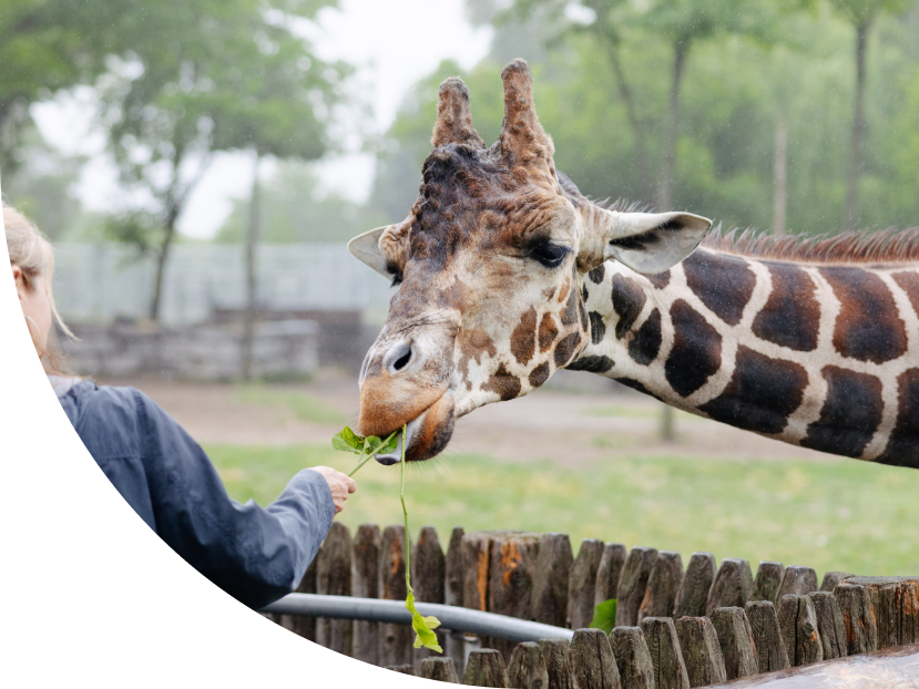 About - Center for Zoo Animal Welfare